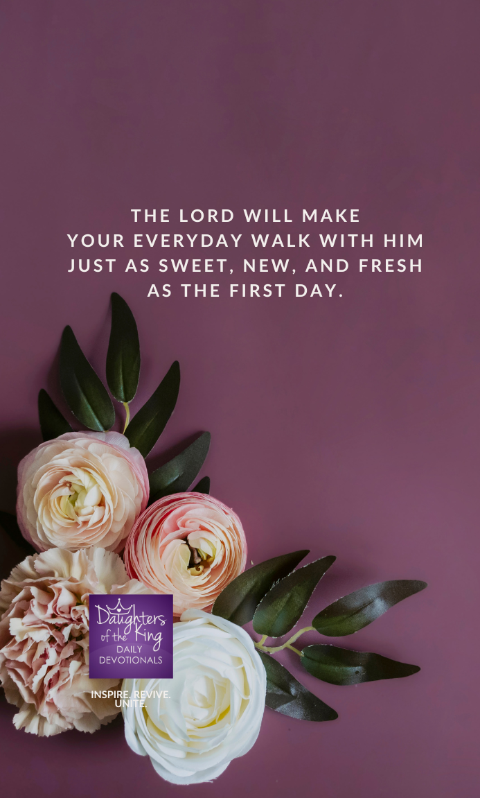 Stay Right There (Hardback) – Daughters of the King Daily Devotional ...